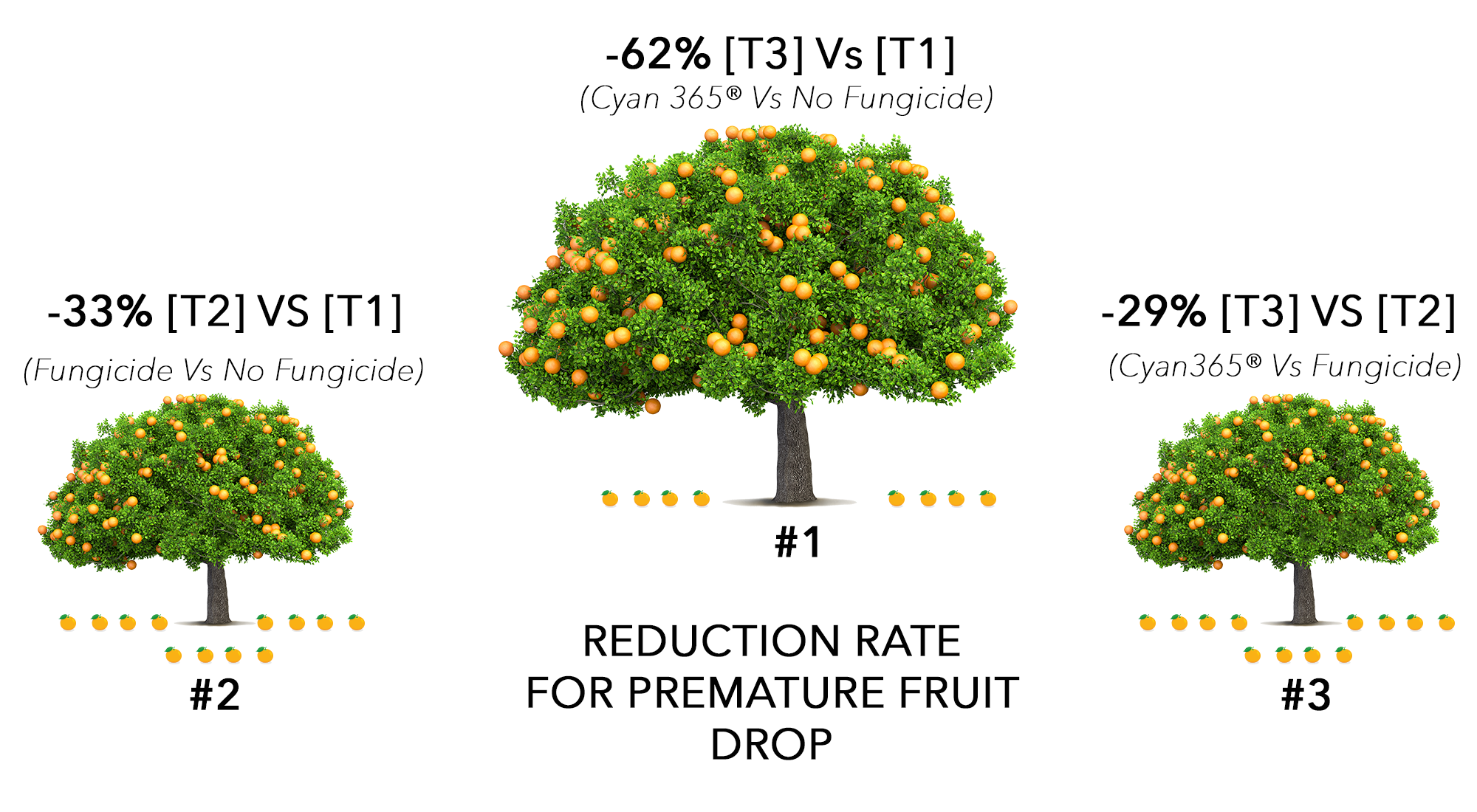 IMMUNE + / HEALTH / MELANOSE / GRAPEFRUIT / 2018 | C Green