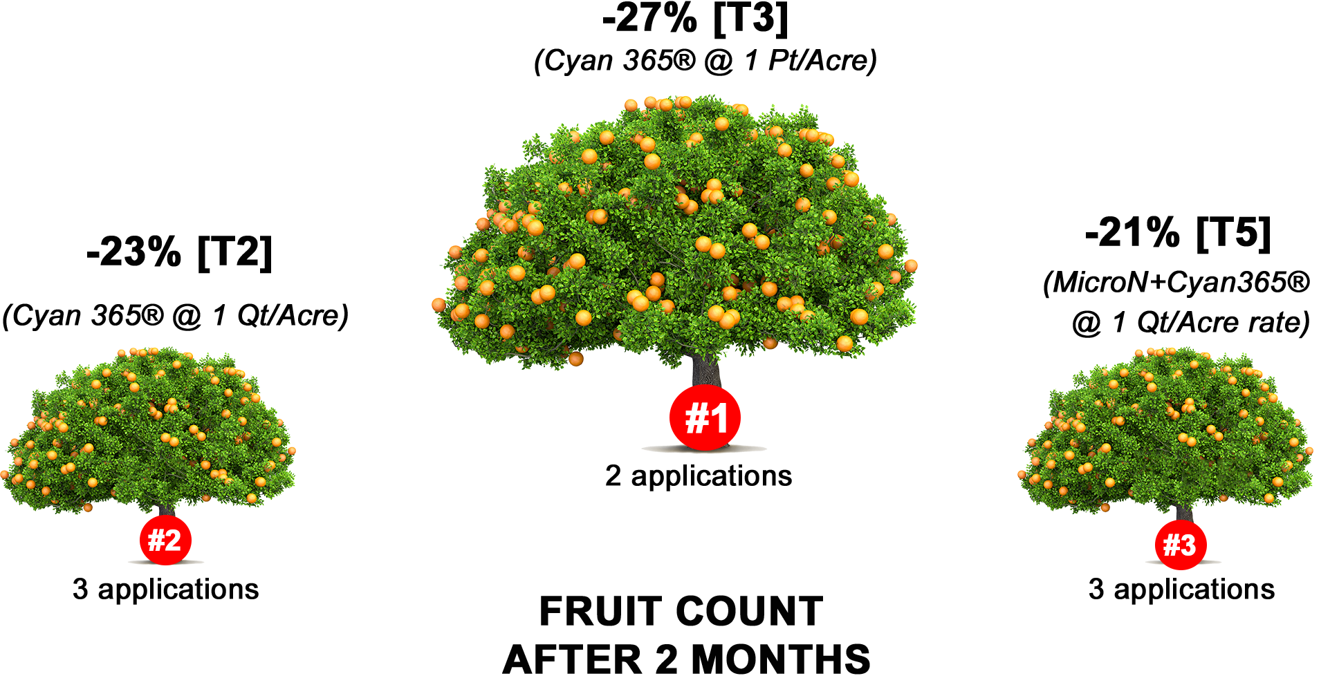 PERFORMANCE / YIELD / Processing oranges / Hamlins / 2018 | C Green